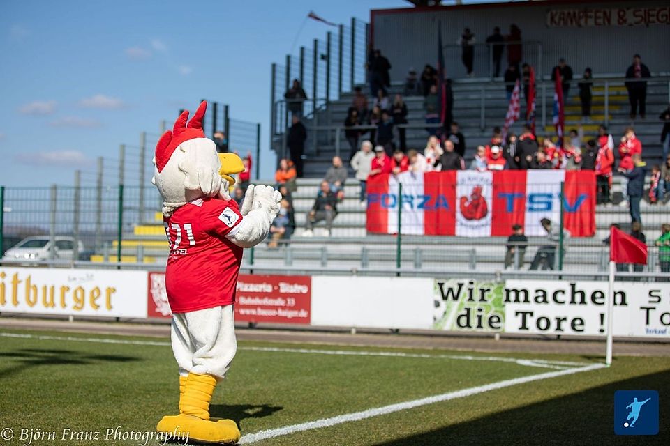 Der neue TSV II-Trainer steht fest - FuPa