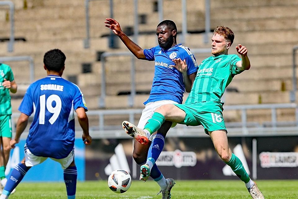 MSV Duisburg verpflichtet Stürmer Steffen Meuer - FuPa MSV Duisburg verpflichtet Stürmer Steffen Meuer - FuPa
