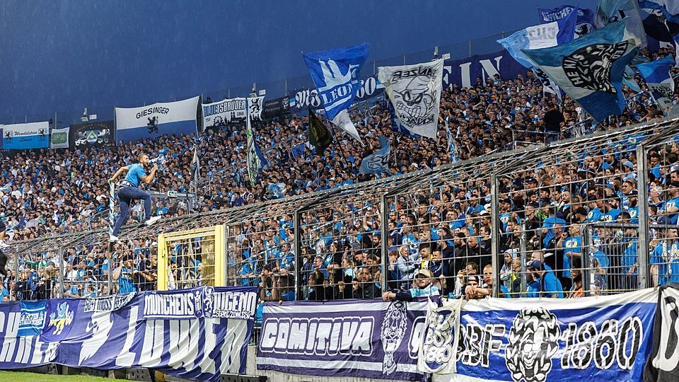 Regionalligisten reagieren auf 1860-Abstieg - FuPa