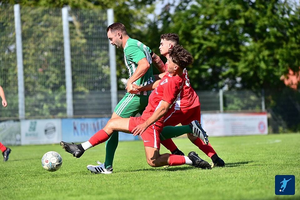 SV Kressbronn krönt sich zum Meister – SV Vogt geht in die Relegation ...