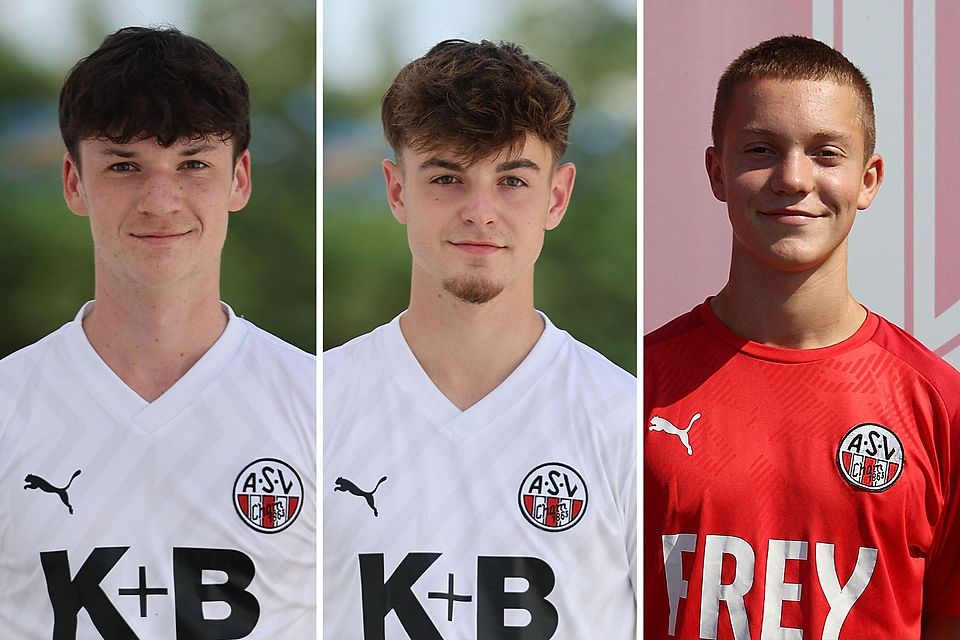 ASV Cham baut drei Youngsters ins Bayernligateam ein - FuPa