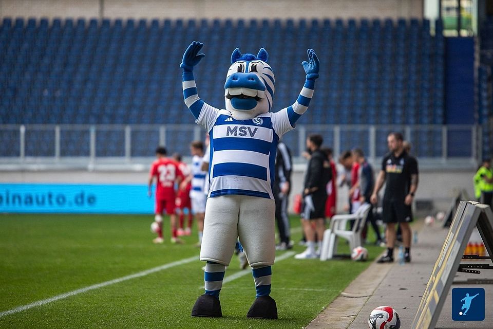 MSV Duisburg: Alle Trainer seit der Vizemeisterschaft 1963/64 - FuPa