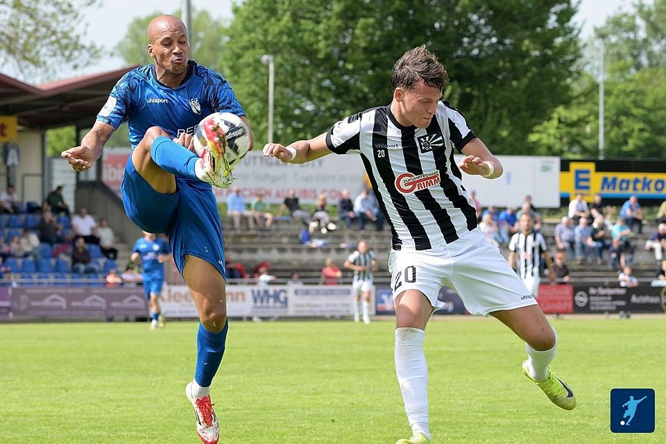 SGV Freiberg: "Für sie geht es um alles" - FuPa