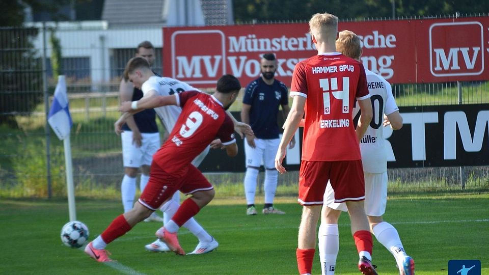 Vier weitere Zusagen: Hammer SpVg treibt Kaderplanung voran - FuPa