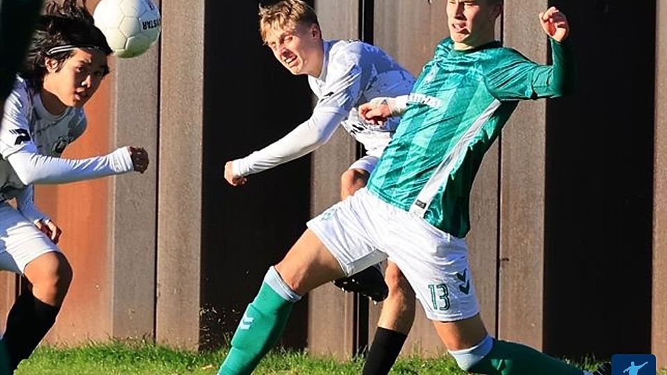 Regionalliga Nordost - Profis - FuPa