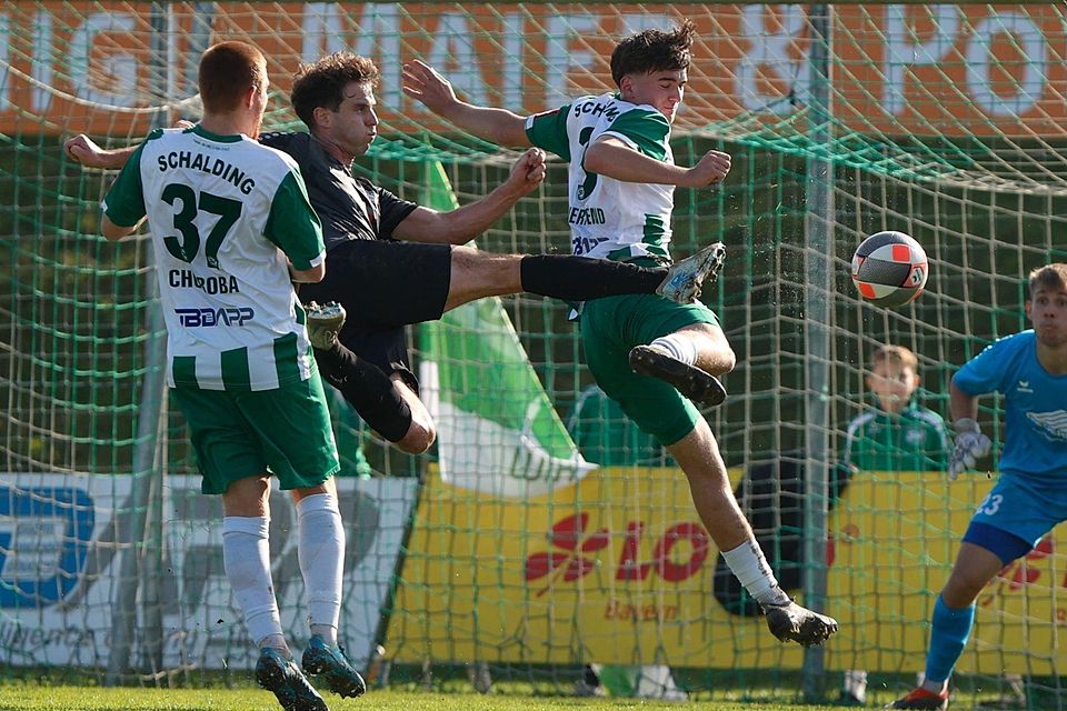 TSV Dachau 65 rüstet mächtig auf: Zwei Ex-Profis verstärken ...